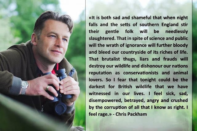 Novena for the Fallen Through ~ our first prayer for our wild kin; I ...