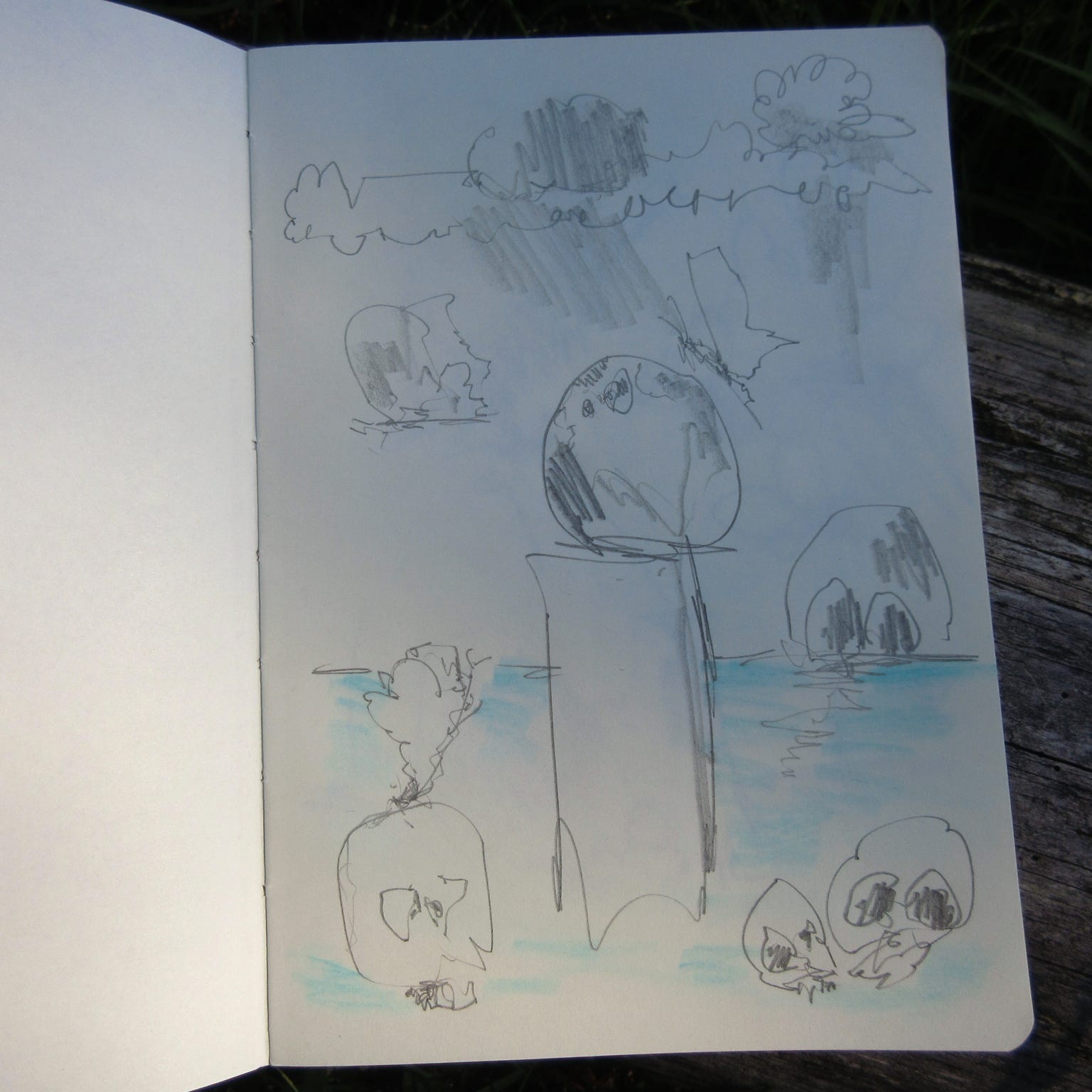 Baby Mushroom Skull Hunting - by Elliot Lessing