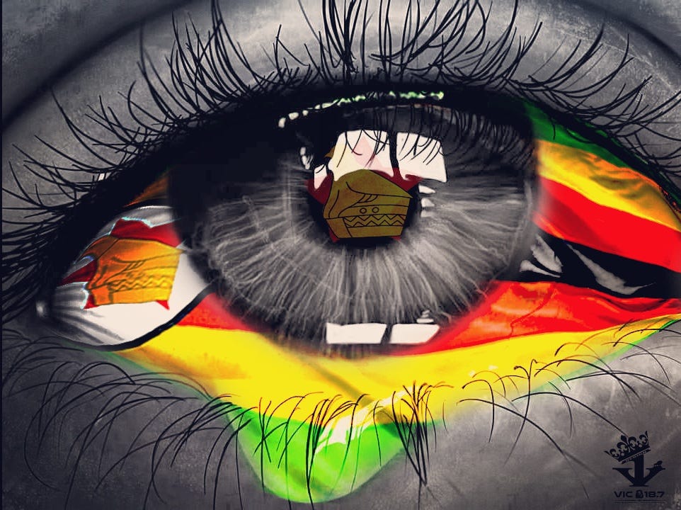 How to talk about Zimbabwe - by Phiwe Mhlope