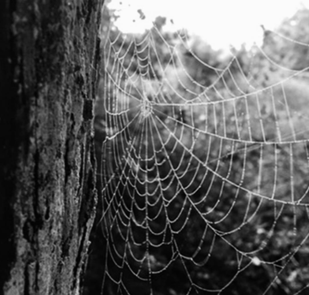 Weaving - by Sarah Howard Lapine - Gathering Quiet