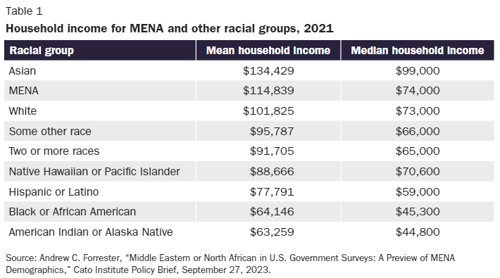 Against a New Middle Eastern or North African (MENA) Racial Category