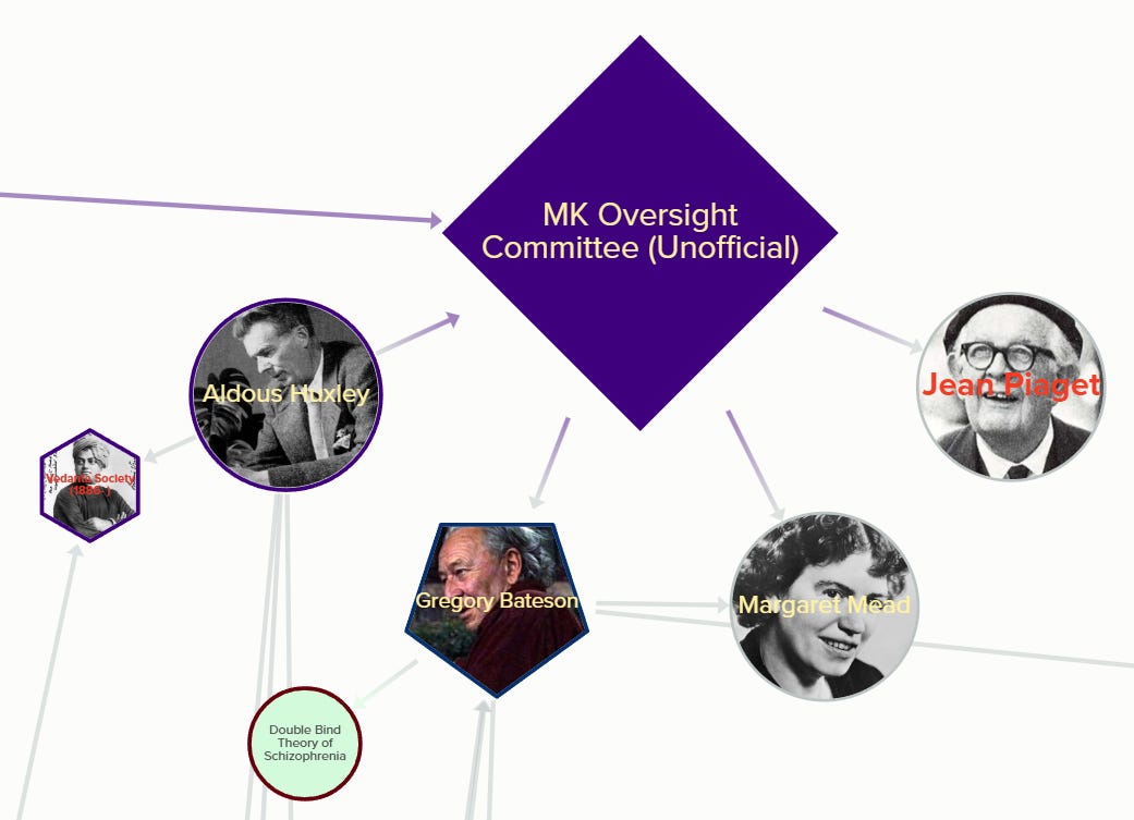 The Bigger Picture - Exercising the Attempt at Cybernetic Modeling