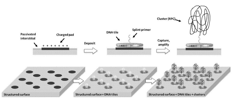 Pacific Bioscience's Onso Uses Patterned Flowcells?