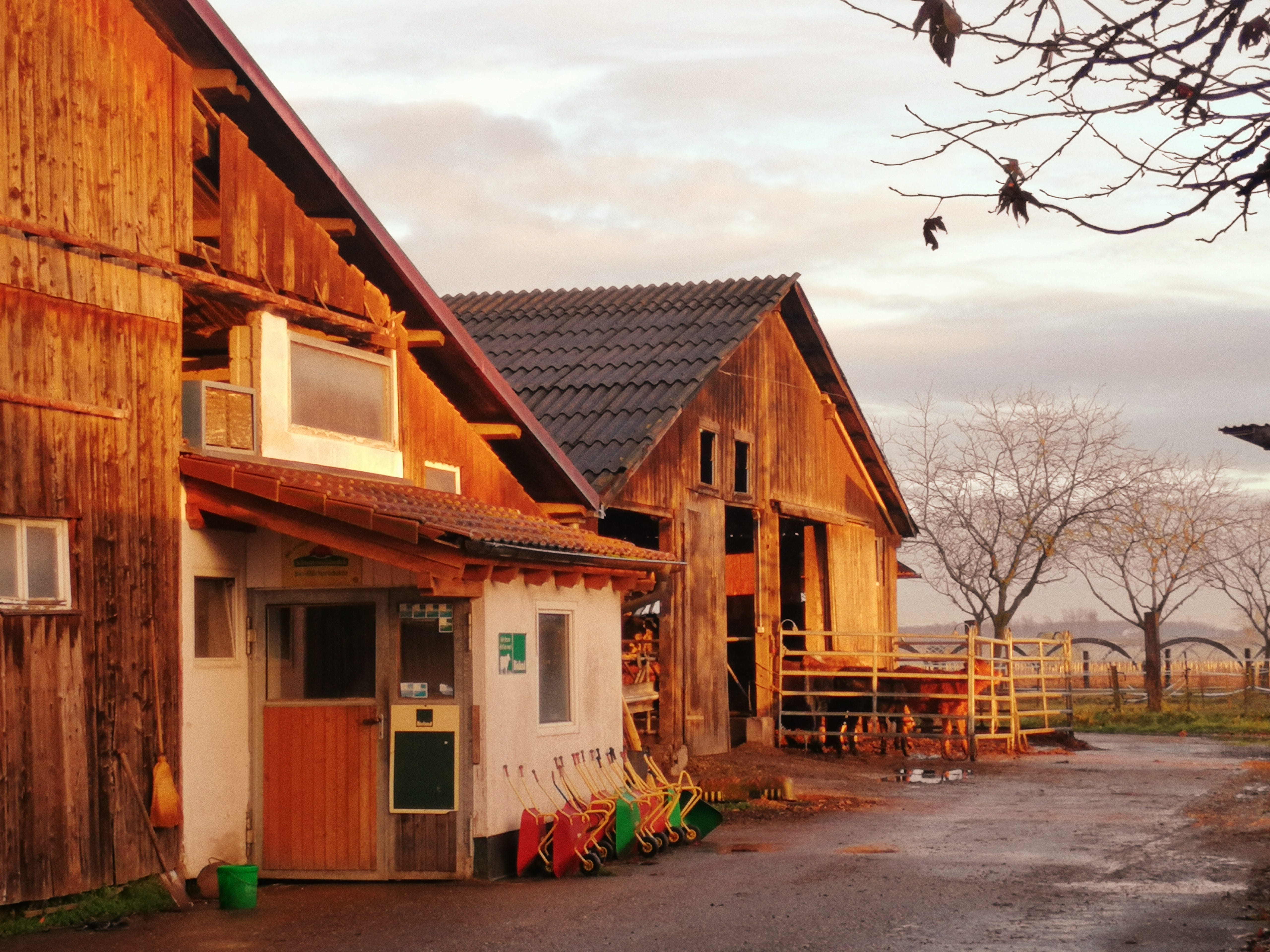 fräulein* werden laut! - by El 🍉 (they/she)