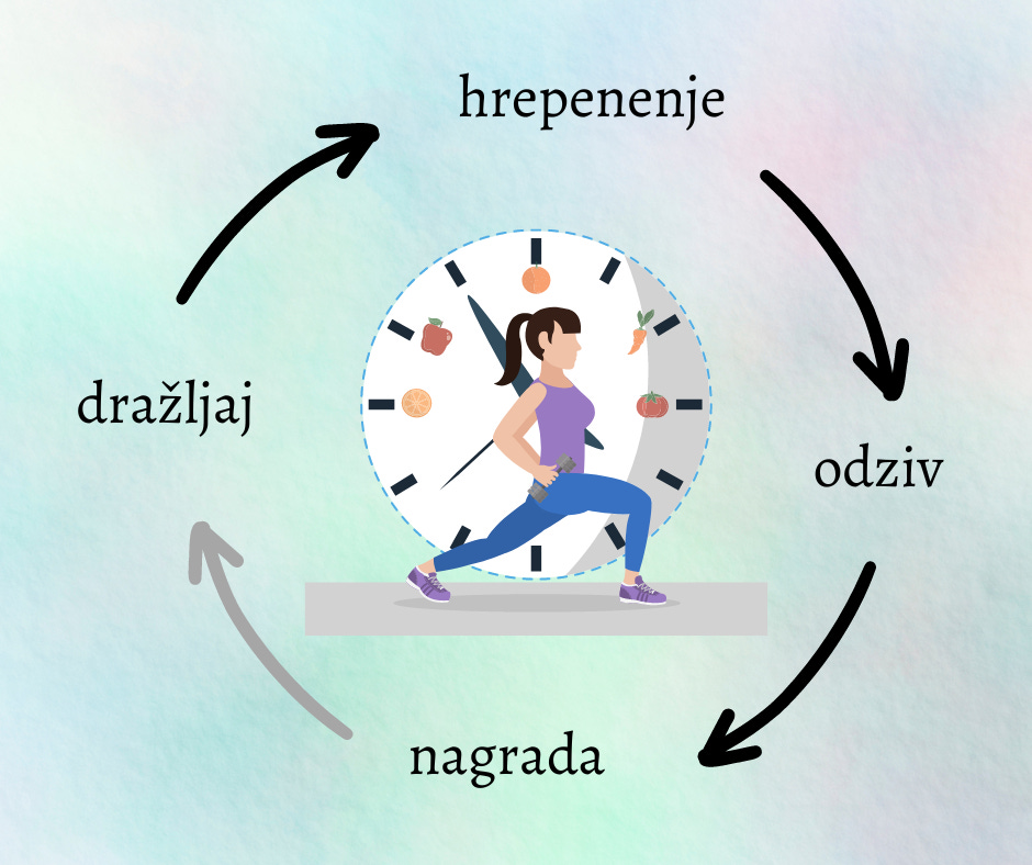 Kako so sestavljene navade? - Modra skrinjica