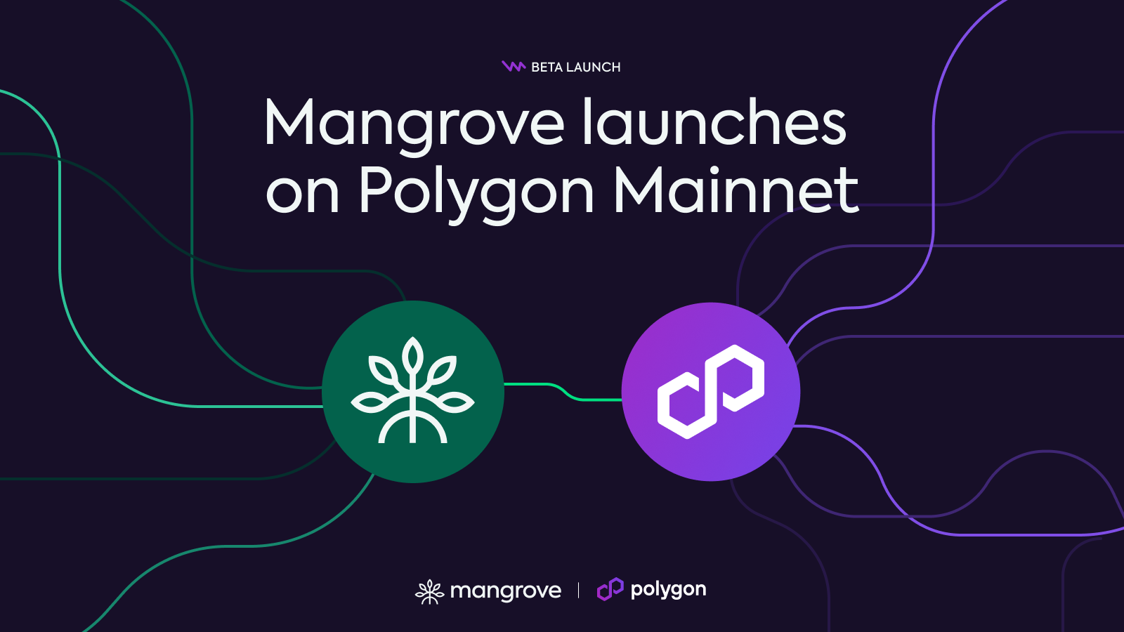 MangroveDAO - Beta Launches on Polygon Mainnet
