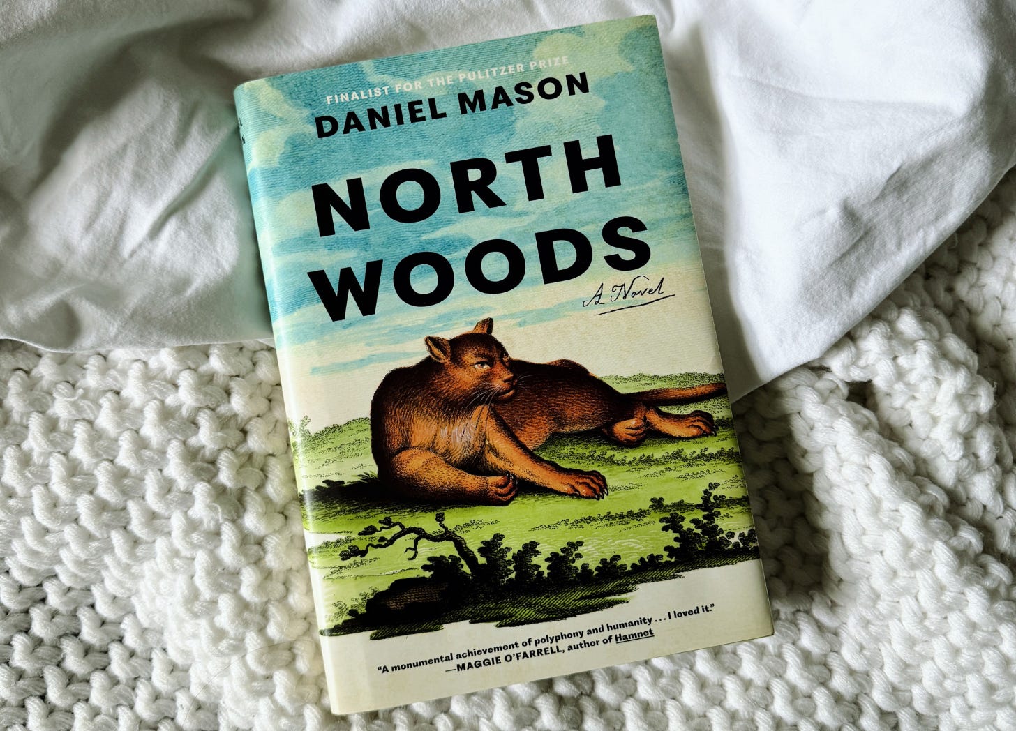 Book review of North Woods by Daniel Mason