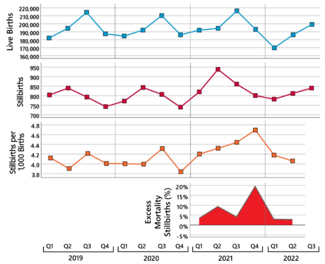 Excess mortality in Germany 2020-2022 - by Josh Guetzkow
