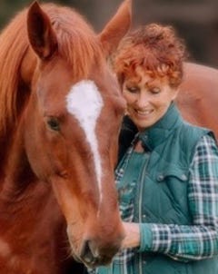 Rosemary Wyndham-Jones | Substack