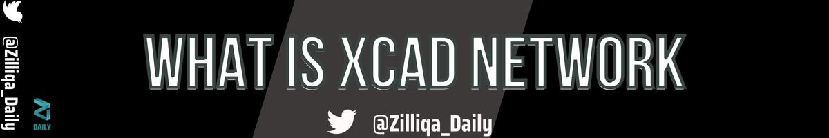 Revolutionising the Creator’s Economy with XCAD Network