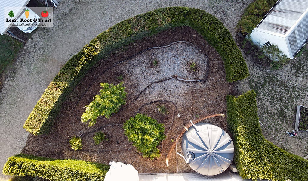 Site Analysis and Where to Put the Vegetable Patch: Microclimates