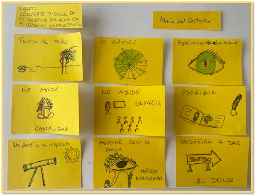 Tribu Visual Thinking Nº25. Enero 2024