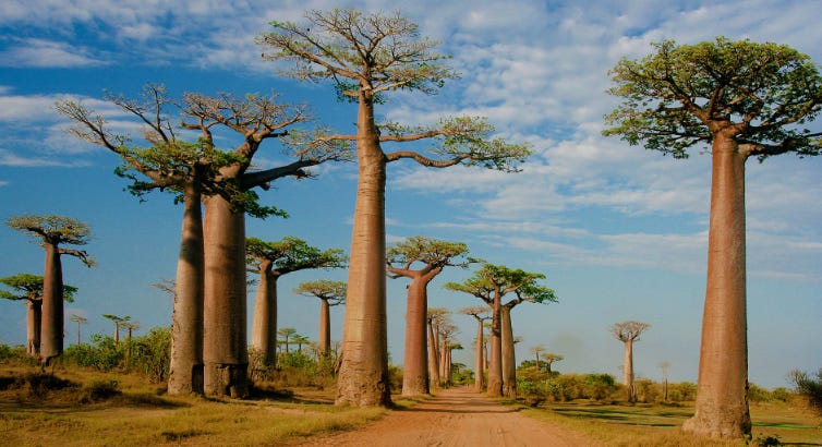 All along the watchtower – by Scott Marsland, FNP-C - Dr. Pierre Kory