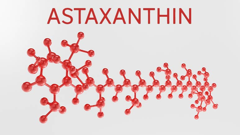 Research on Astaxanthin Demonstrates Significant Whole Body Benefits