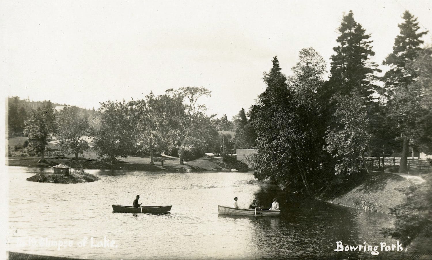 Bowring Park: A Stroll Through Shadows and Light