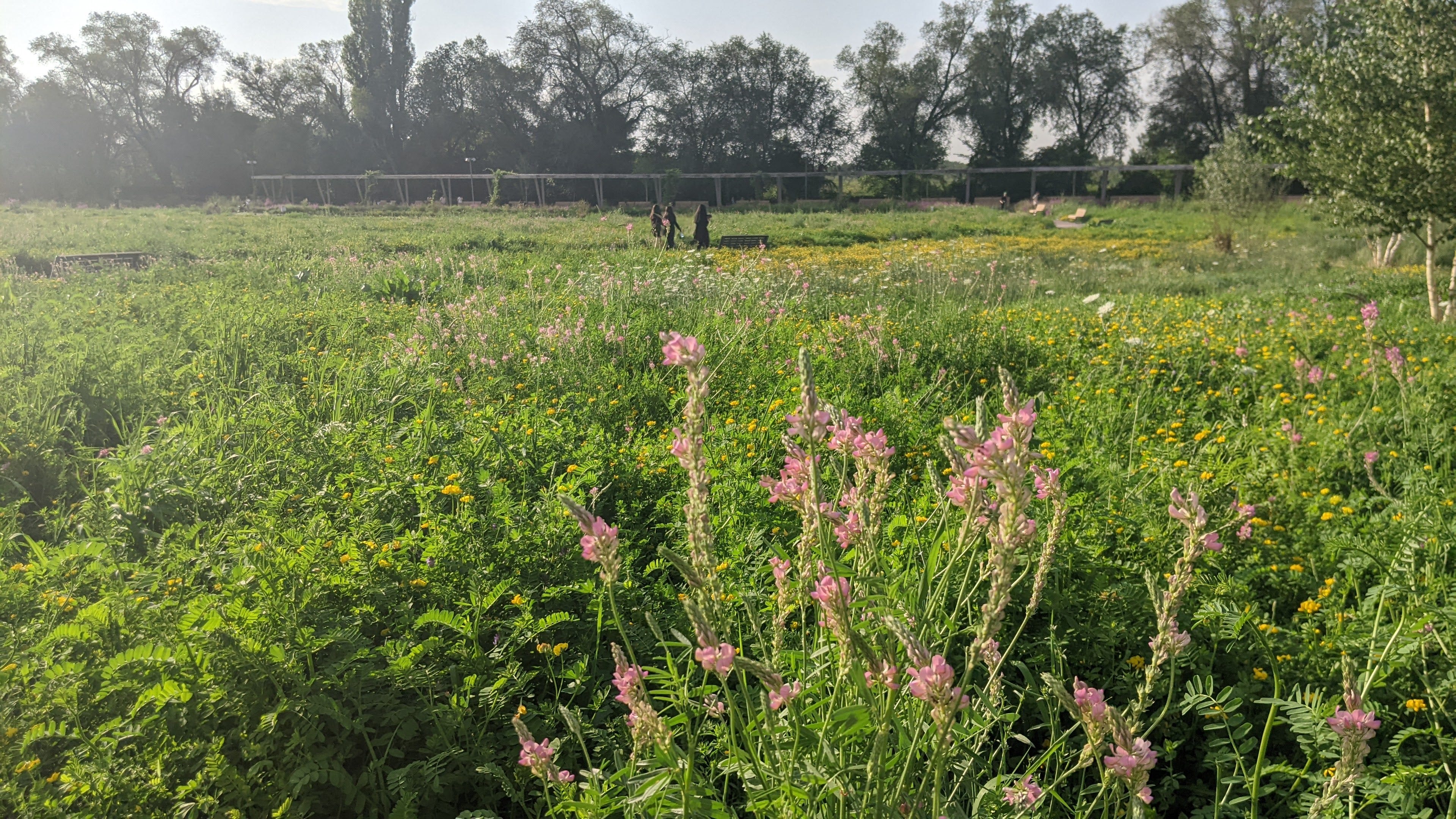Balkan Ecology Project : Gardens Around the World - Almaty Botanic ...