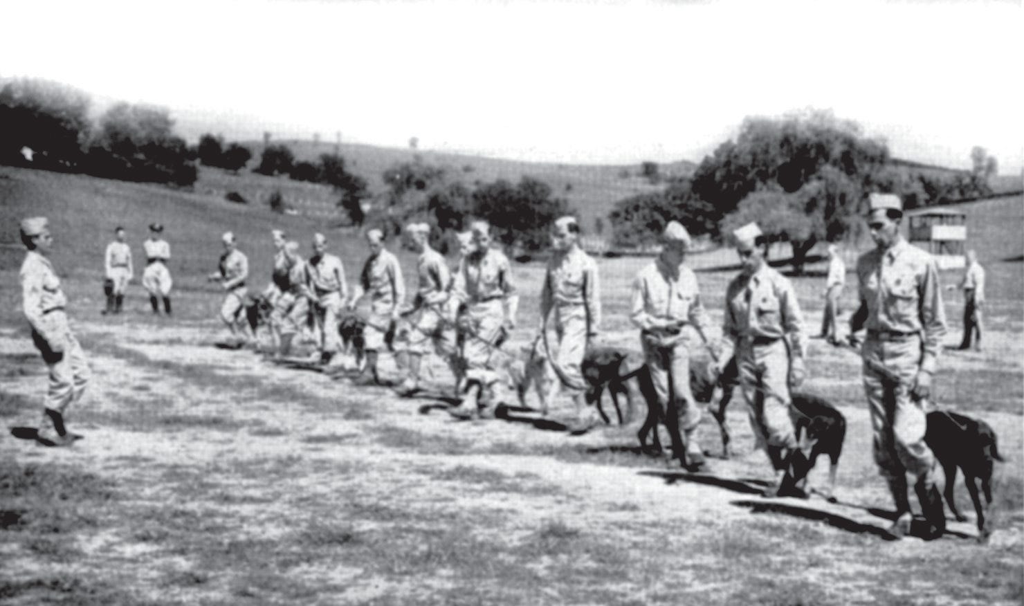 'Military Dogs of World War II' - by Martin Cherrett