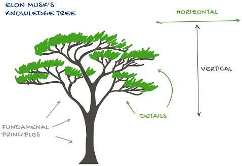 6D Thinking: Bezos, Musk, & Buffett Learn Faster And Better, Because ...