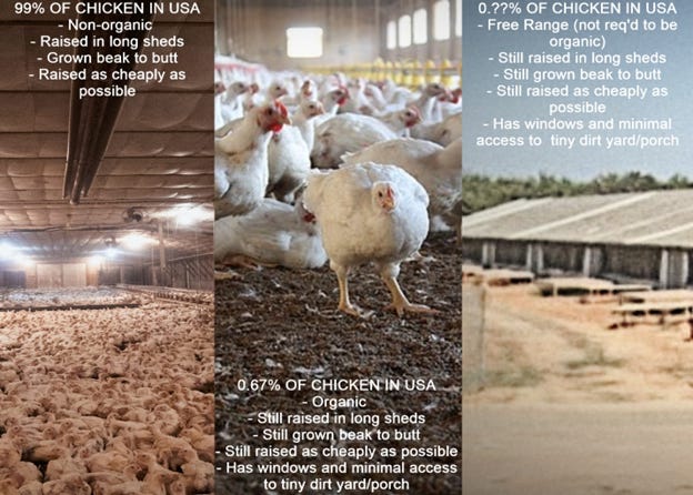 Looney Toon Chicken Labeling - by Andrew Jones