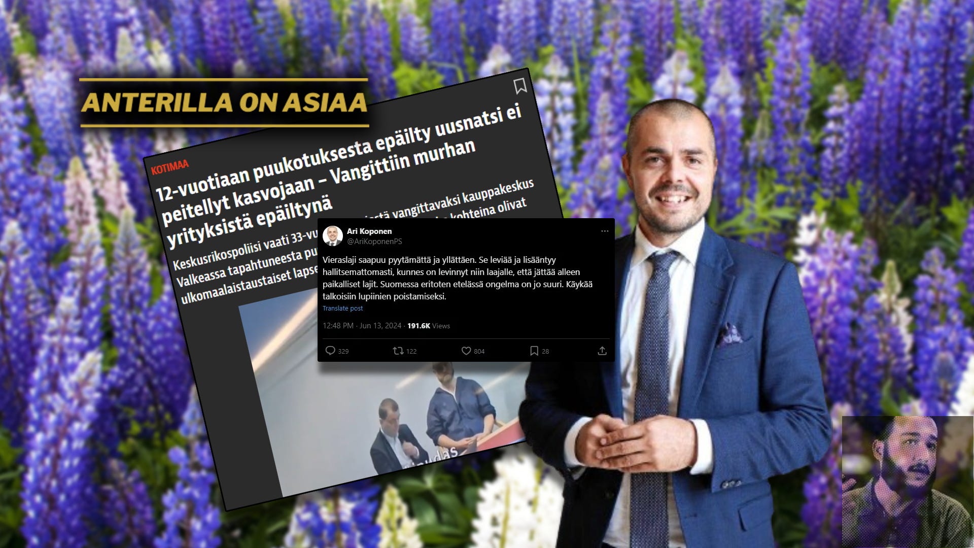 PS kansanedustaja kehotti "vieraslajin Lupiinin kitkemiseen"