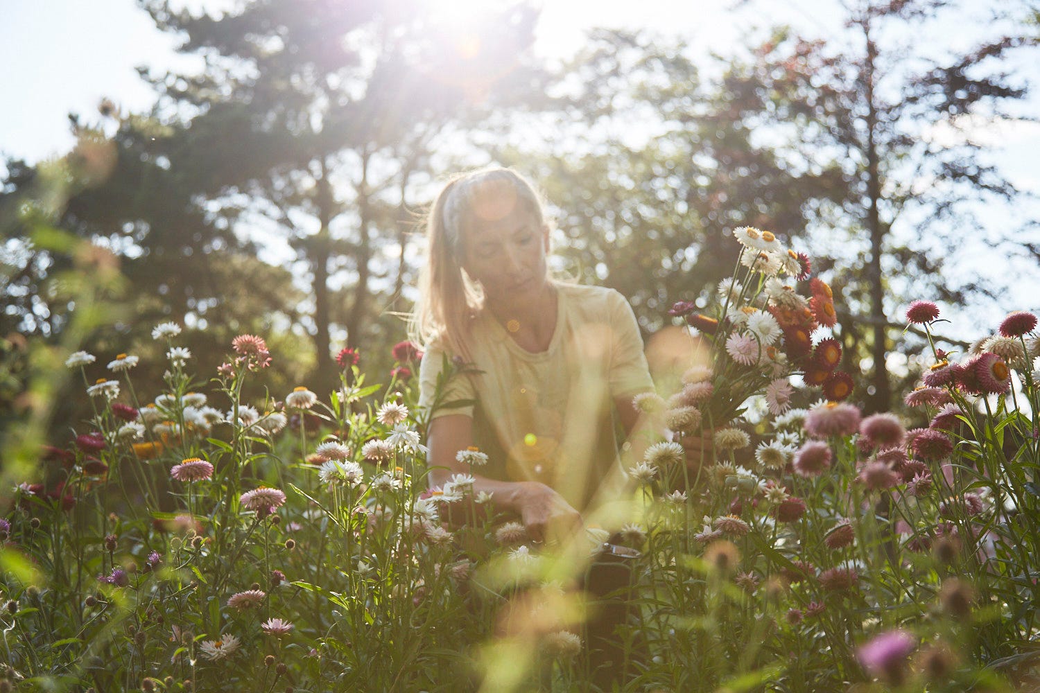 Bex Partridge | Substack