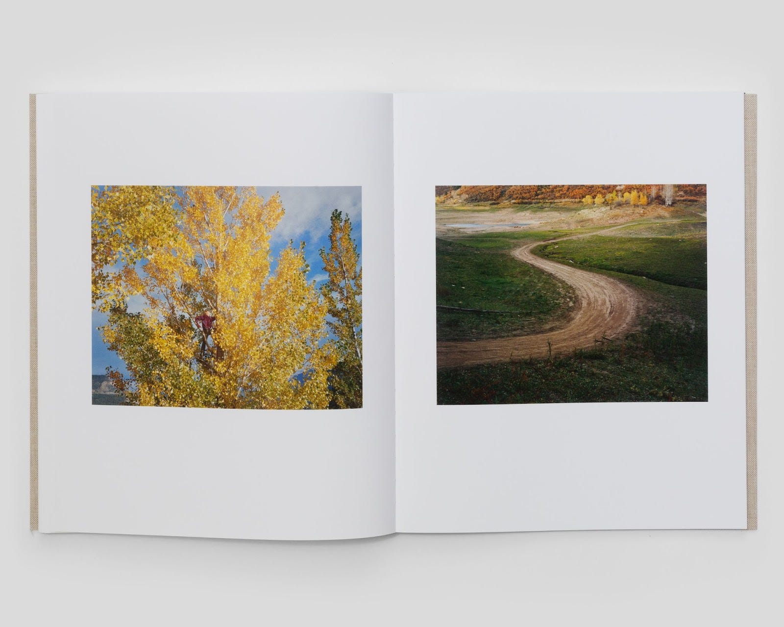 Show & Tell: Trent Davis Bailey - by Andy Adams