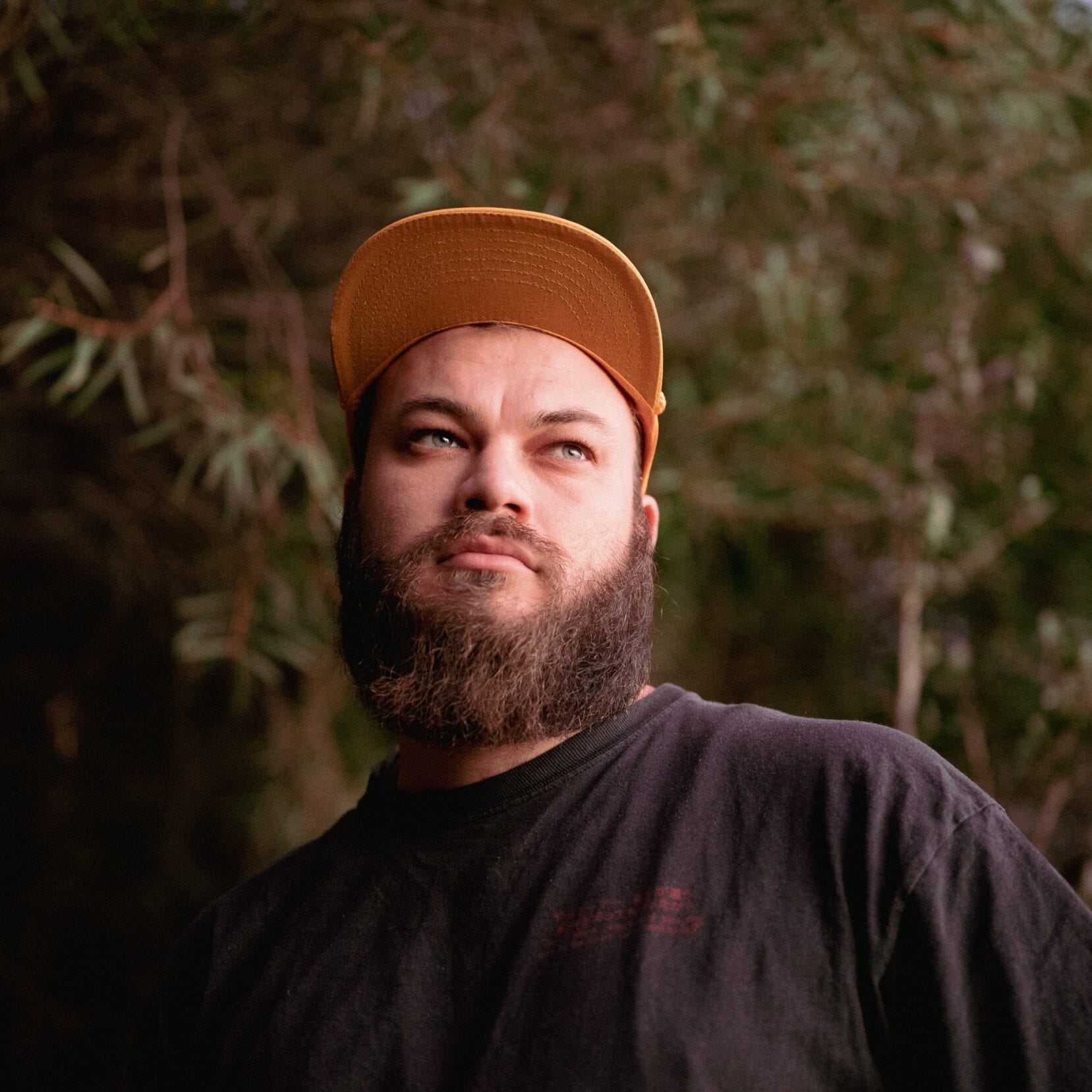 Travis De Vries | Substack