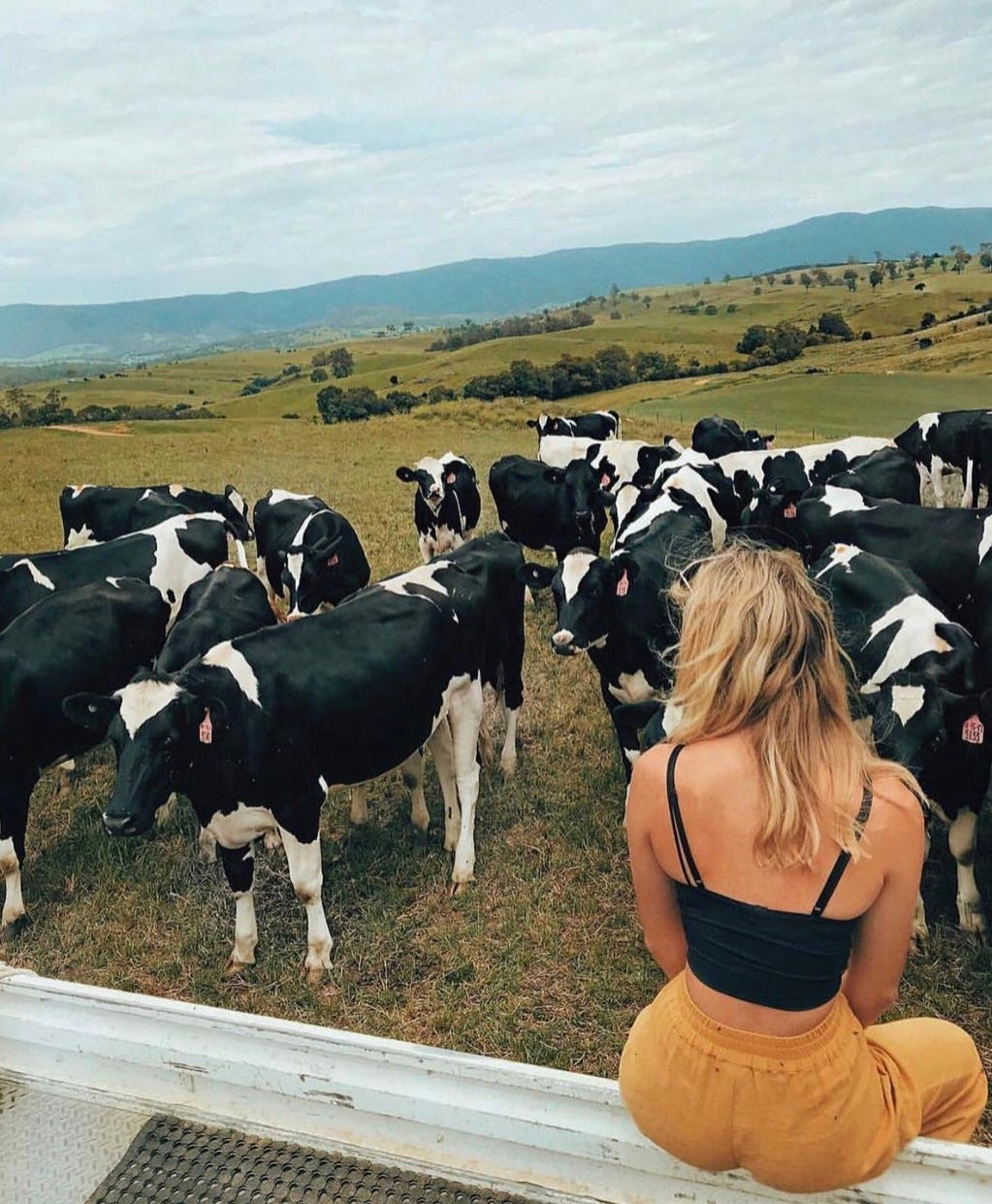 Raw Dairy, Anabolic Desserts - risedelos’s Substack