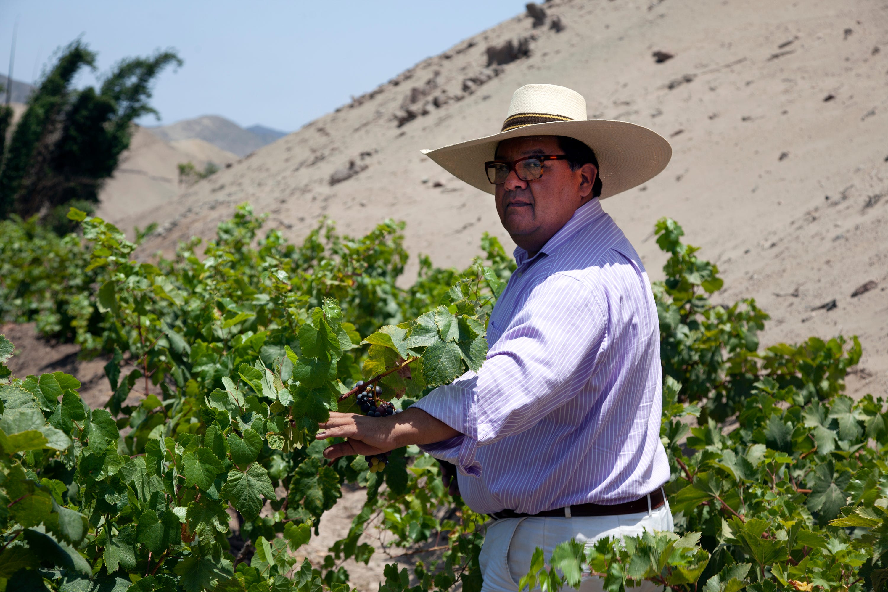 The Awakening of Peruvian Wine - by Nicholas Gill