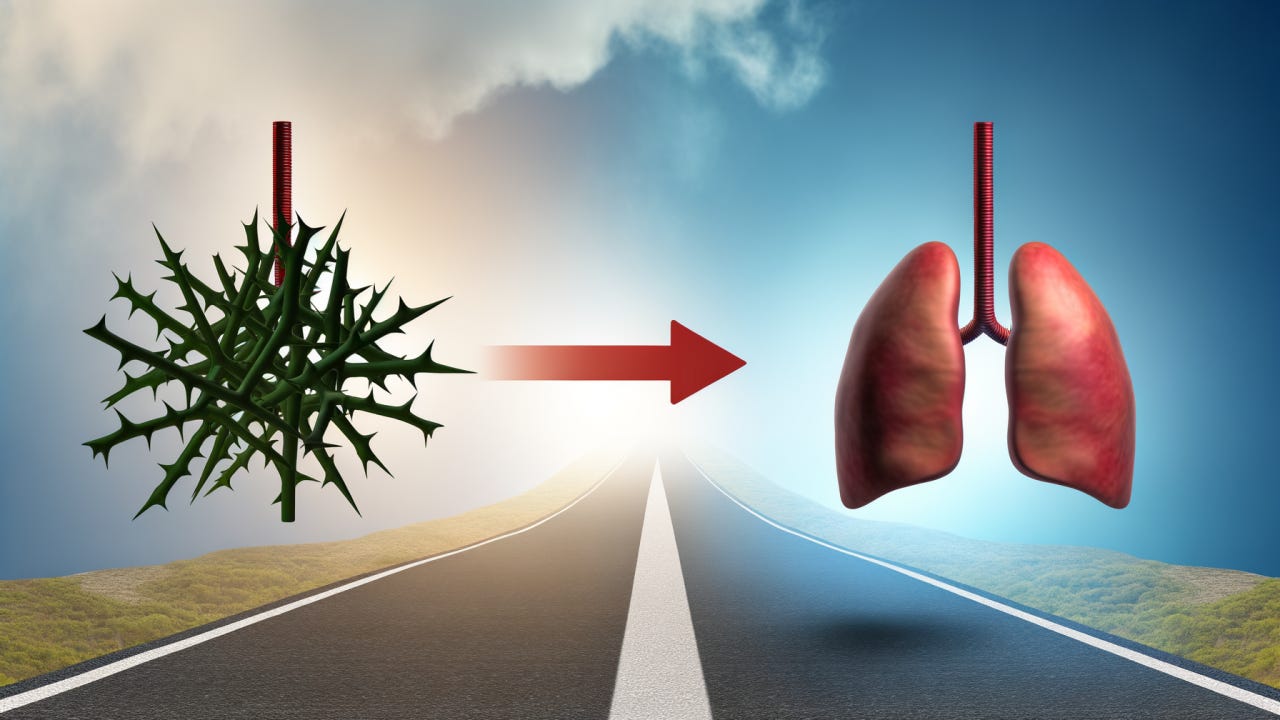 Unlocking Breathable Solutions: Airway Clearance Systems and the Rise ...
