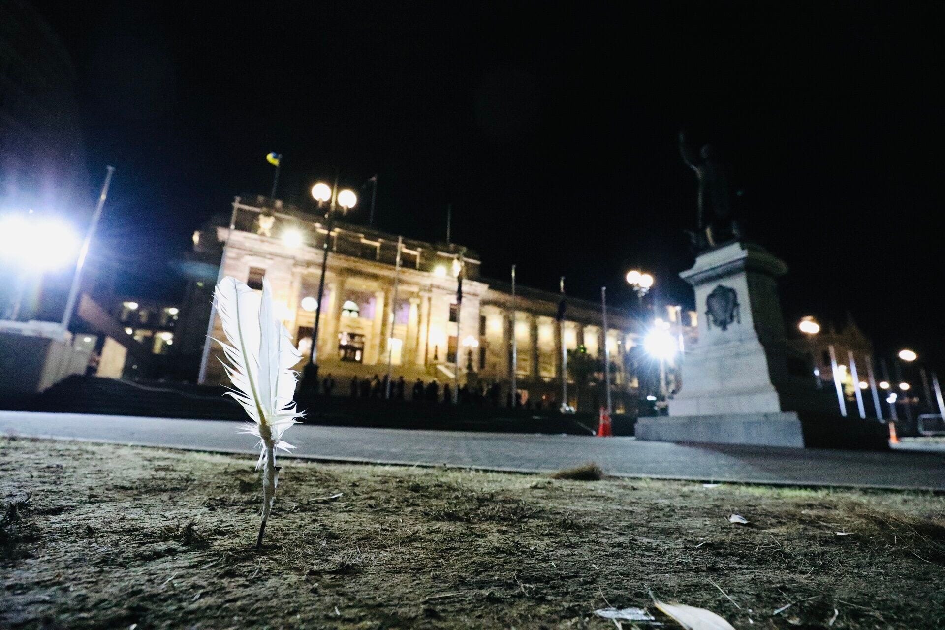 Nz Politics Daily 31 January 2025