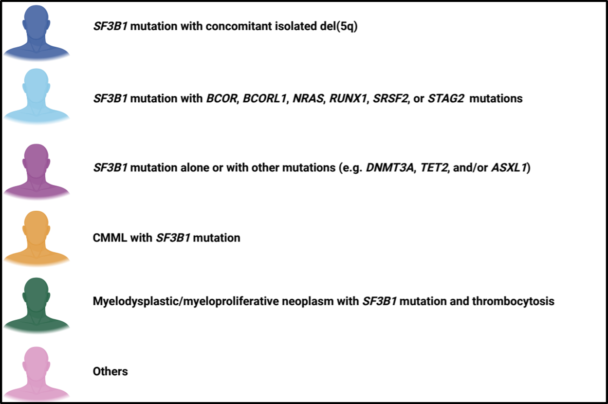 Let's talk about SF3B1