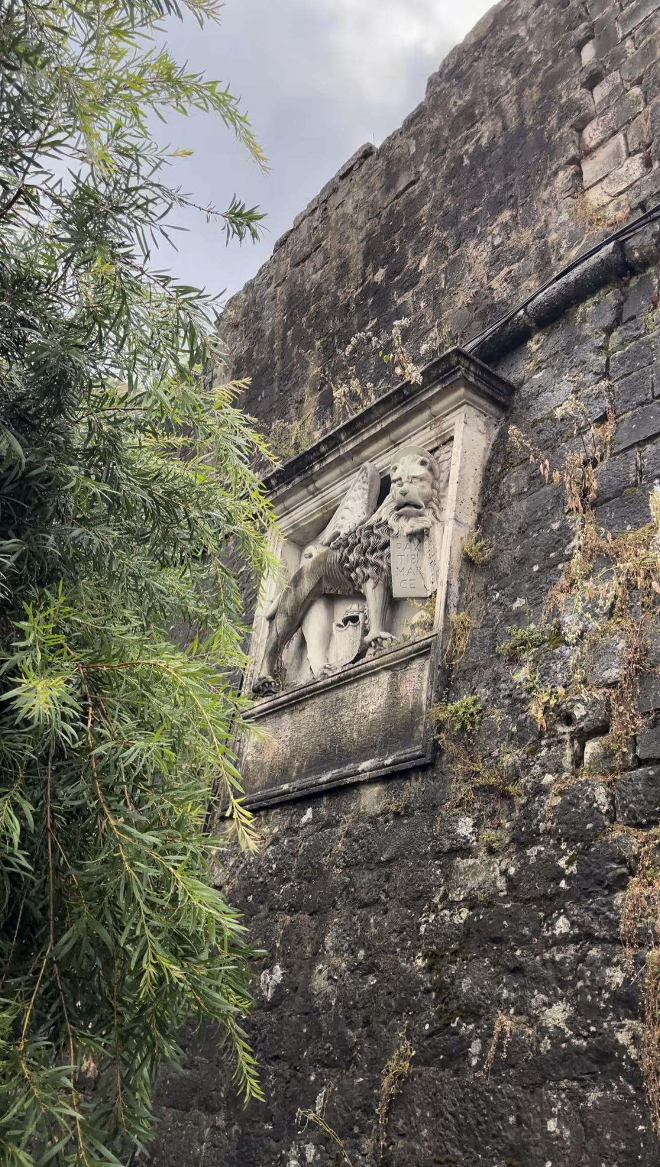 How to Remain Human: What do Balkan People Think About America?