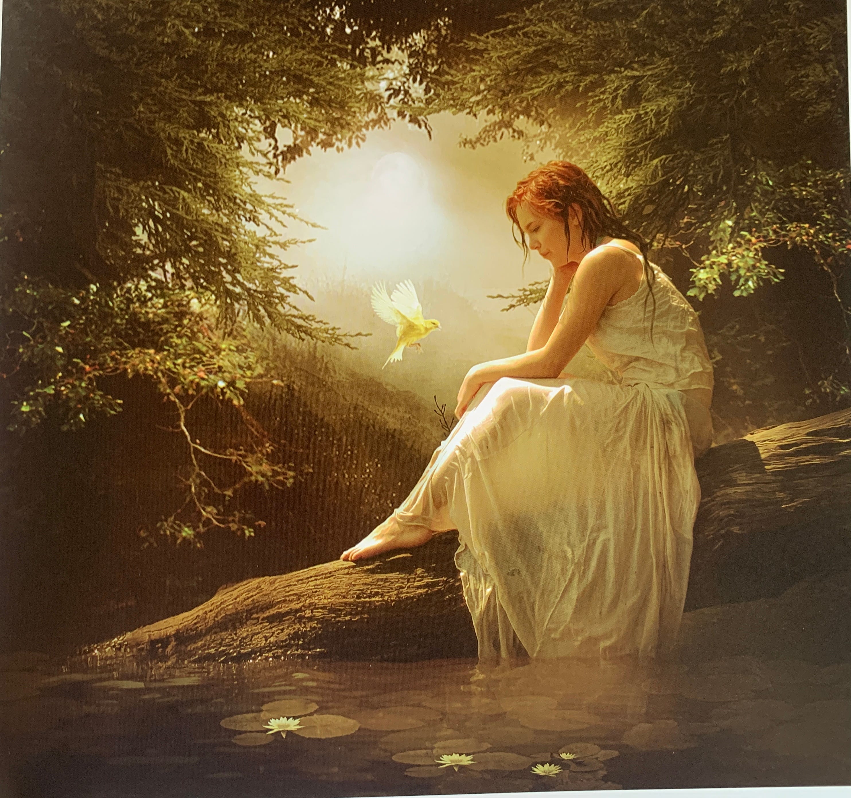 A Dance of Awe & Wonder - by Lila Danielle - I Am The Dance