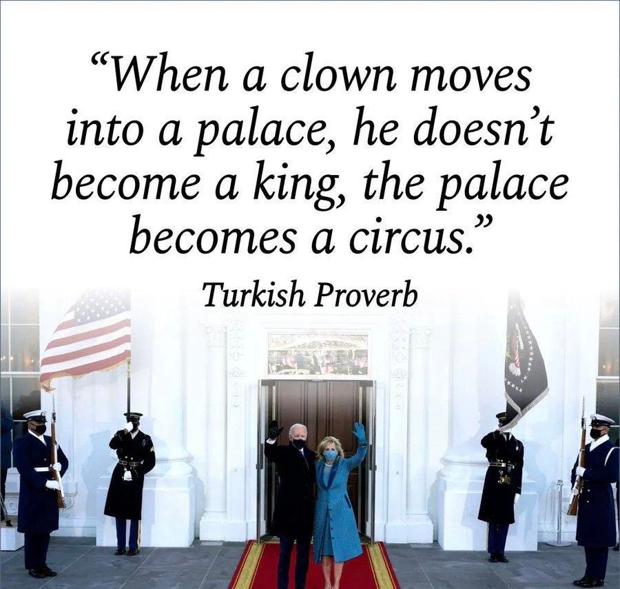 Ann Barnhardt - Edwin’s Newsletter #1