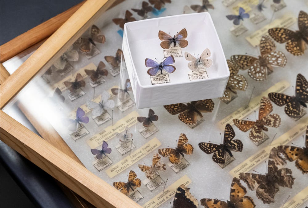 My 10 Most Popular Articles - by Heather Evans