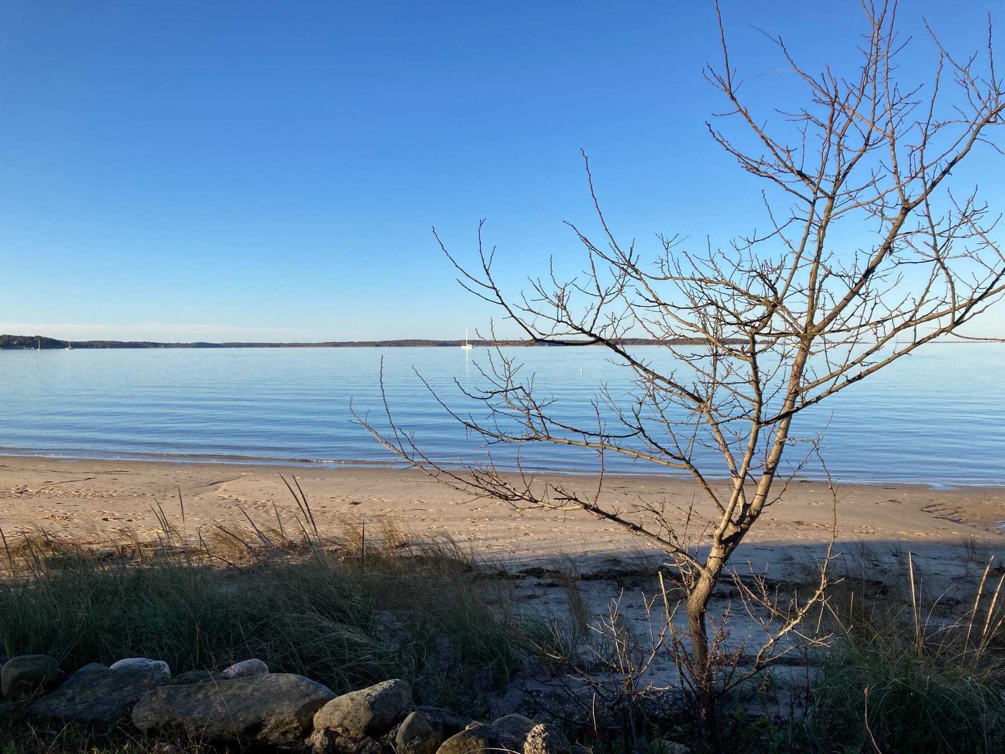 Watching Water - by Catherine Hiller