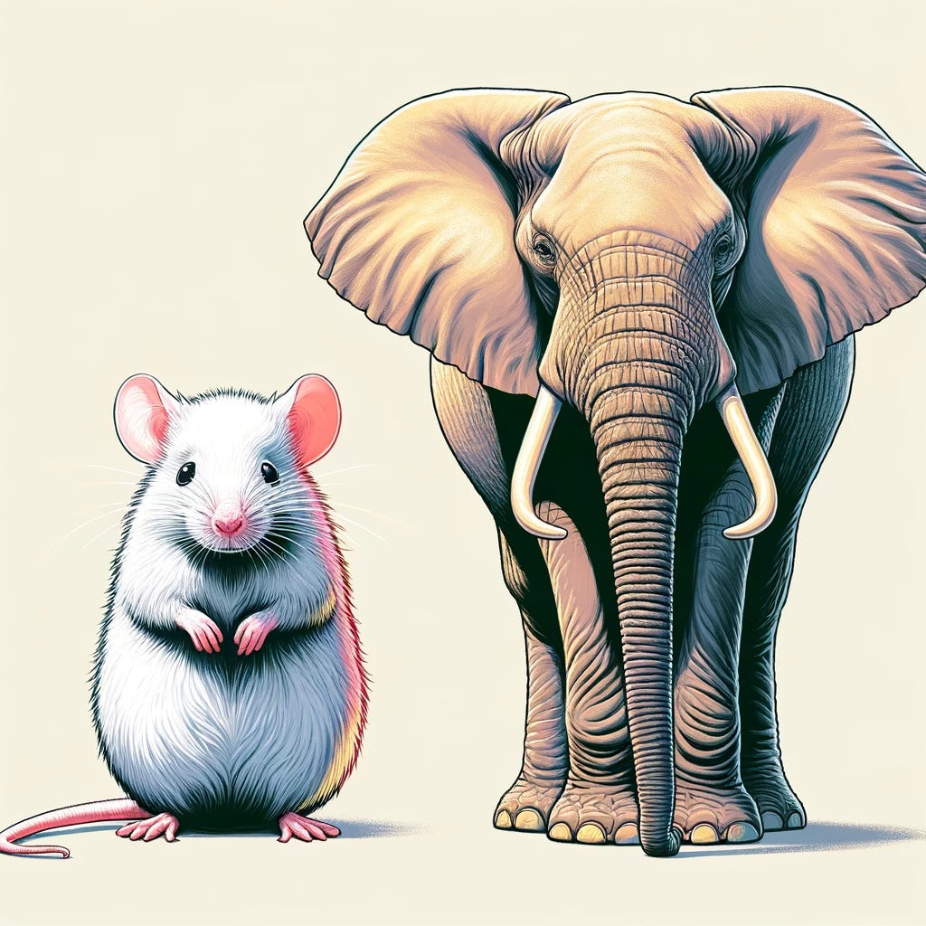 Kleiber's Law - by Andrew Smith - Goatfury Writes