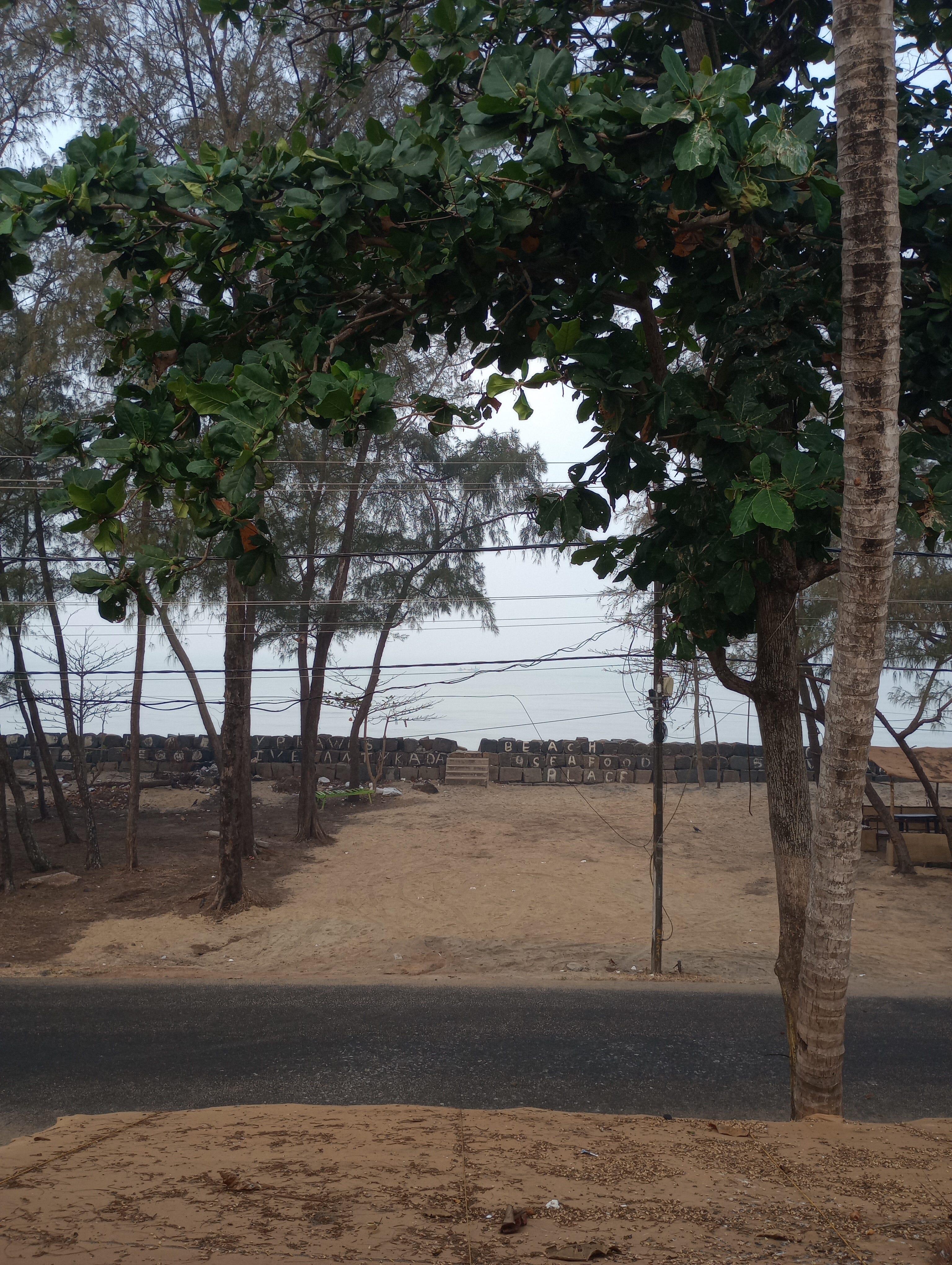 Kochi: art and beach - by Rachel Cabral