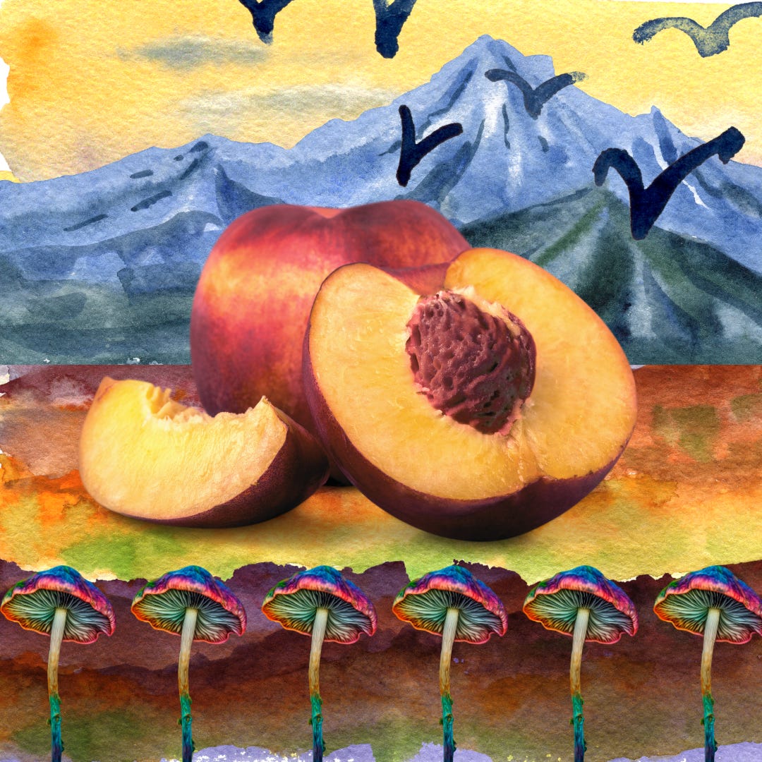 Trail Magic - by Amy Bee