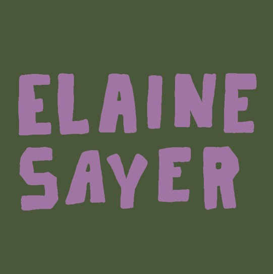 Elaine Sayer | Substack