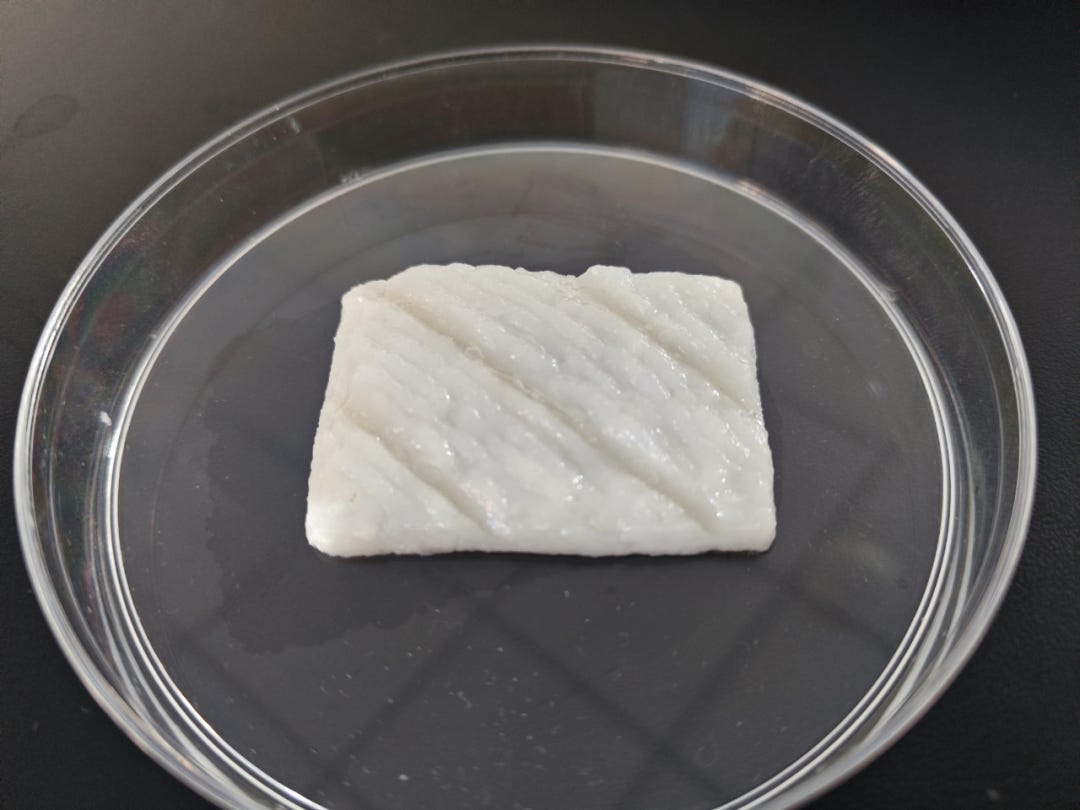 Chinese scientists create tissue-like cultured fish fillets using 3D ...