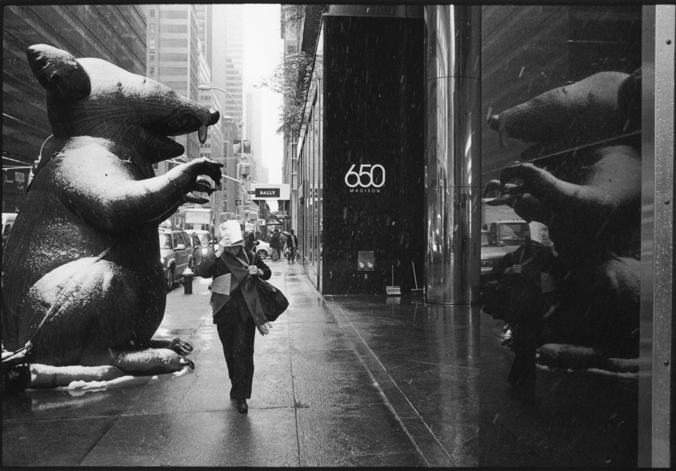 Portraits of a Democracy