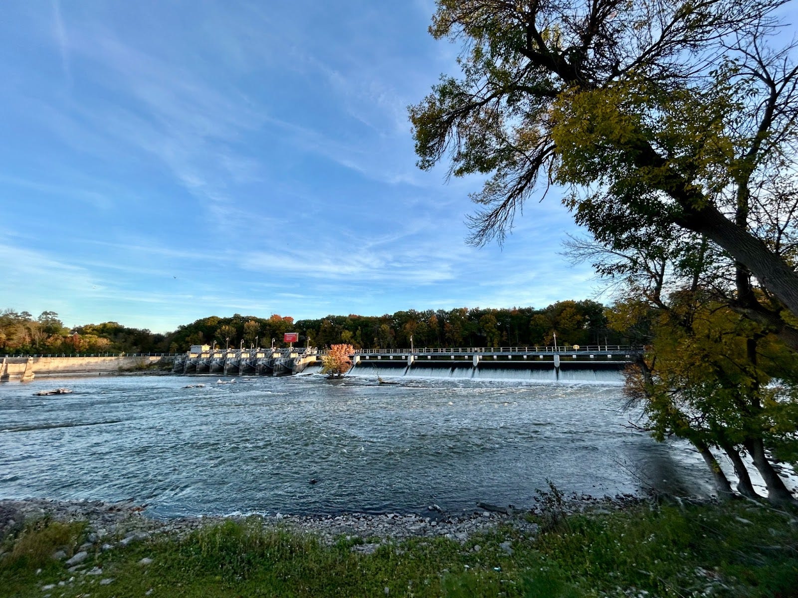 Joy and Desperation in the Fox Valley - by Dan Shafer