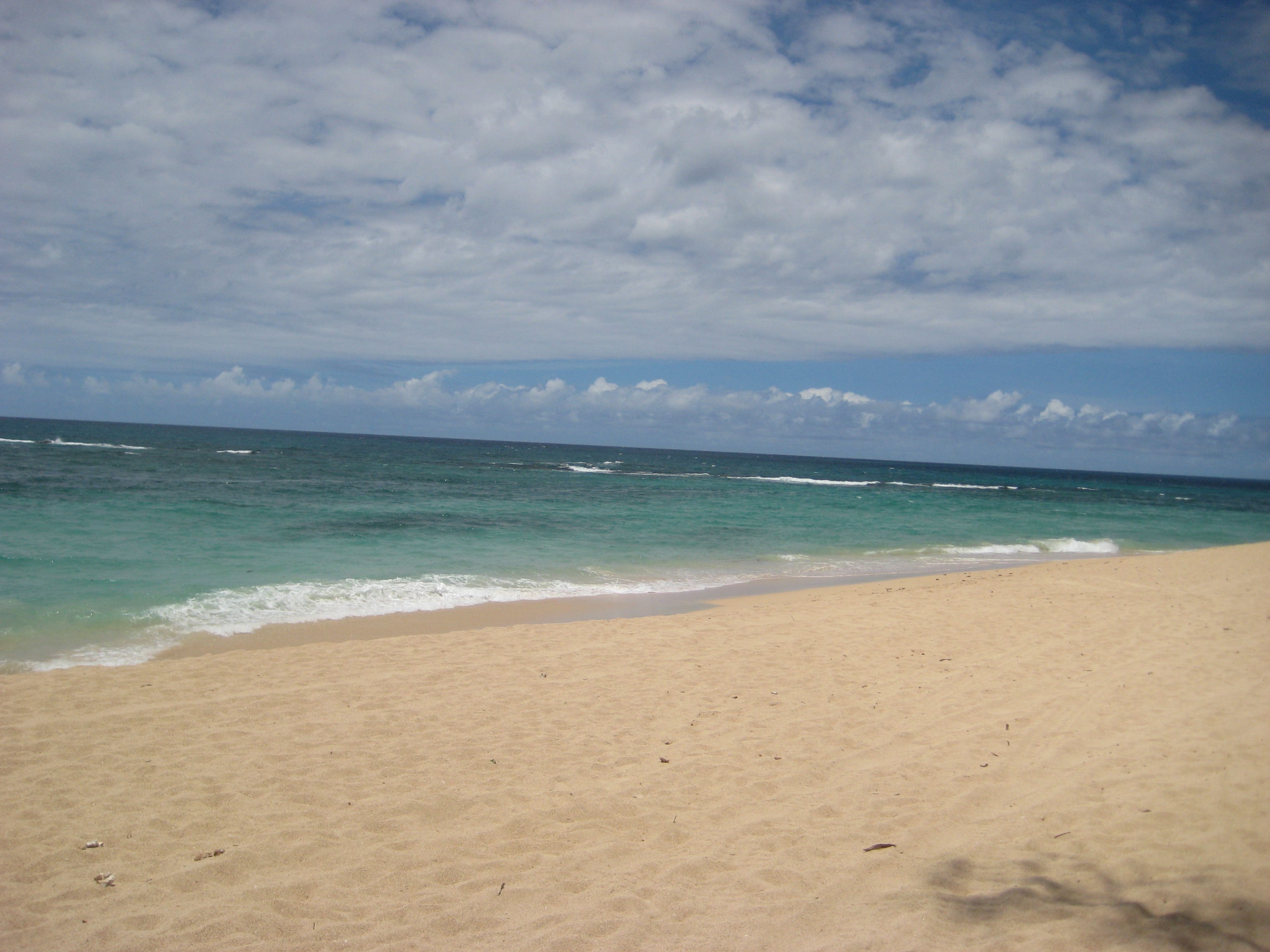 I Want to be a Capybara - KT Grant’s Happiness Substack