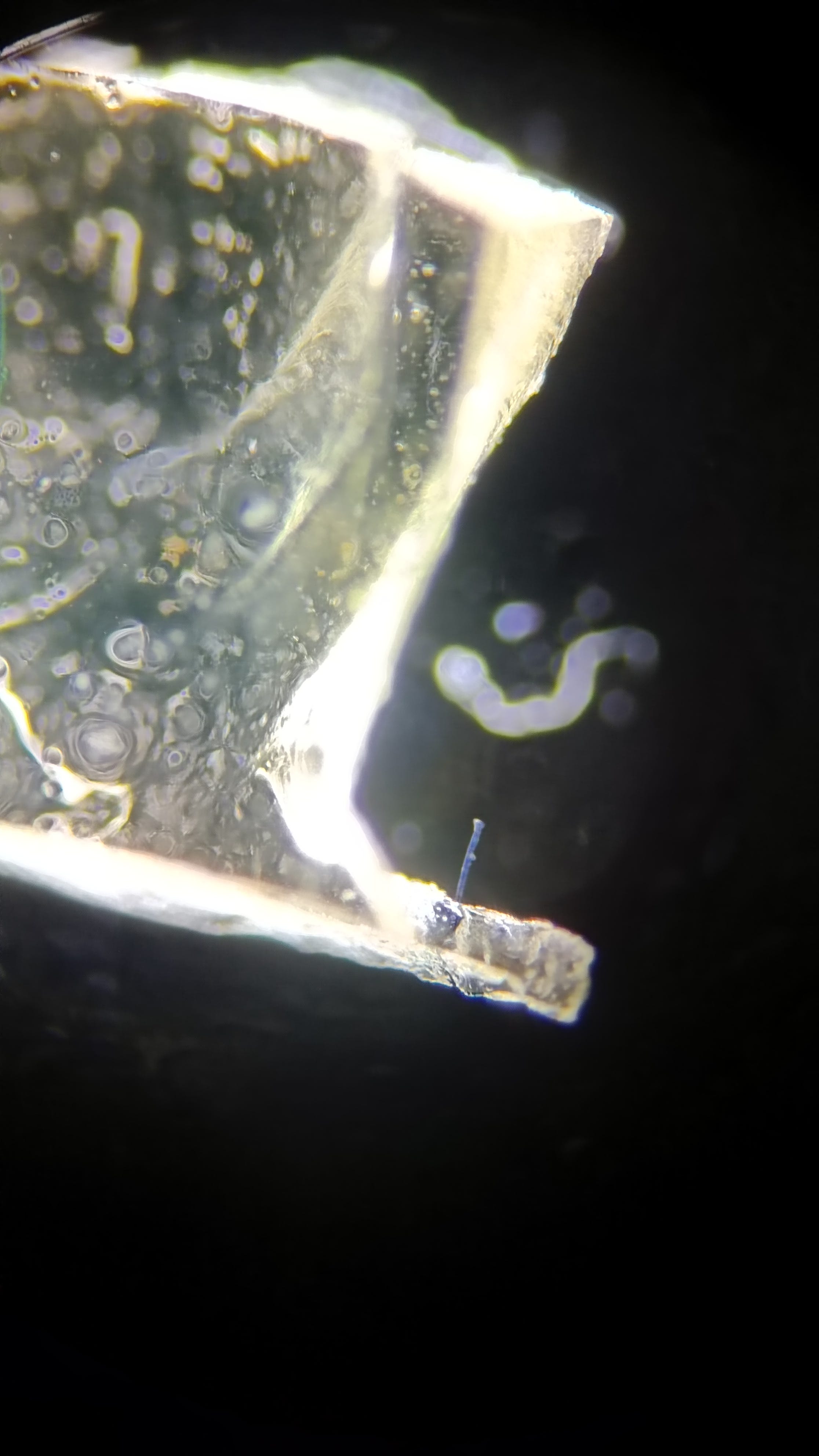 D By Matt J A O B Matts Microscopy