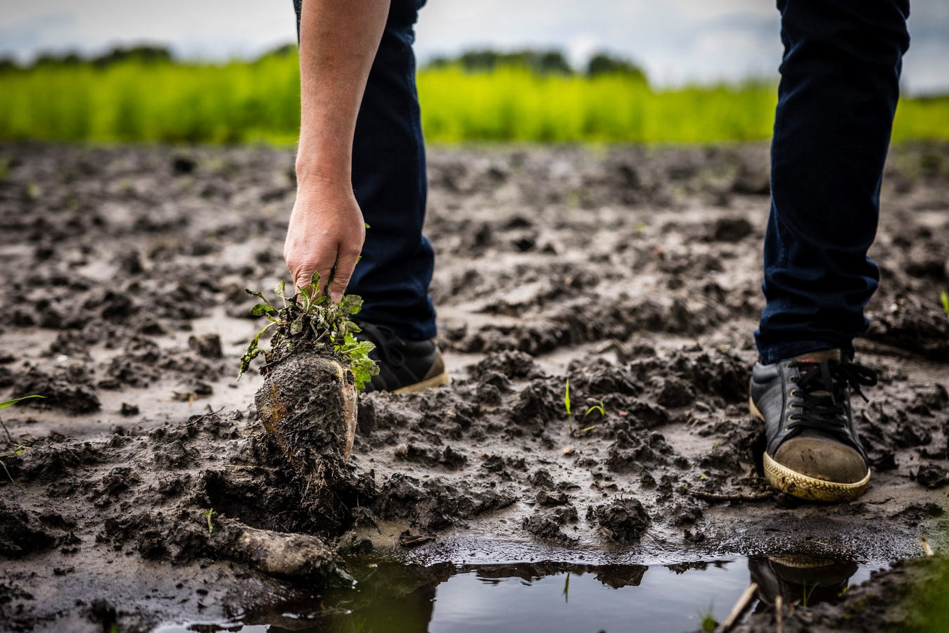 Global Warming Creates Inflation - Wily Stock Talk