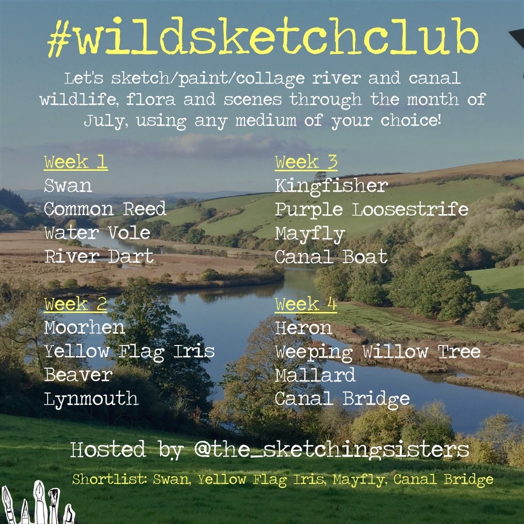 Wild Sketch Club July - Rivers and Canals - Week 2 (6th - 12th July)