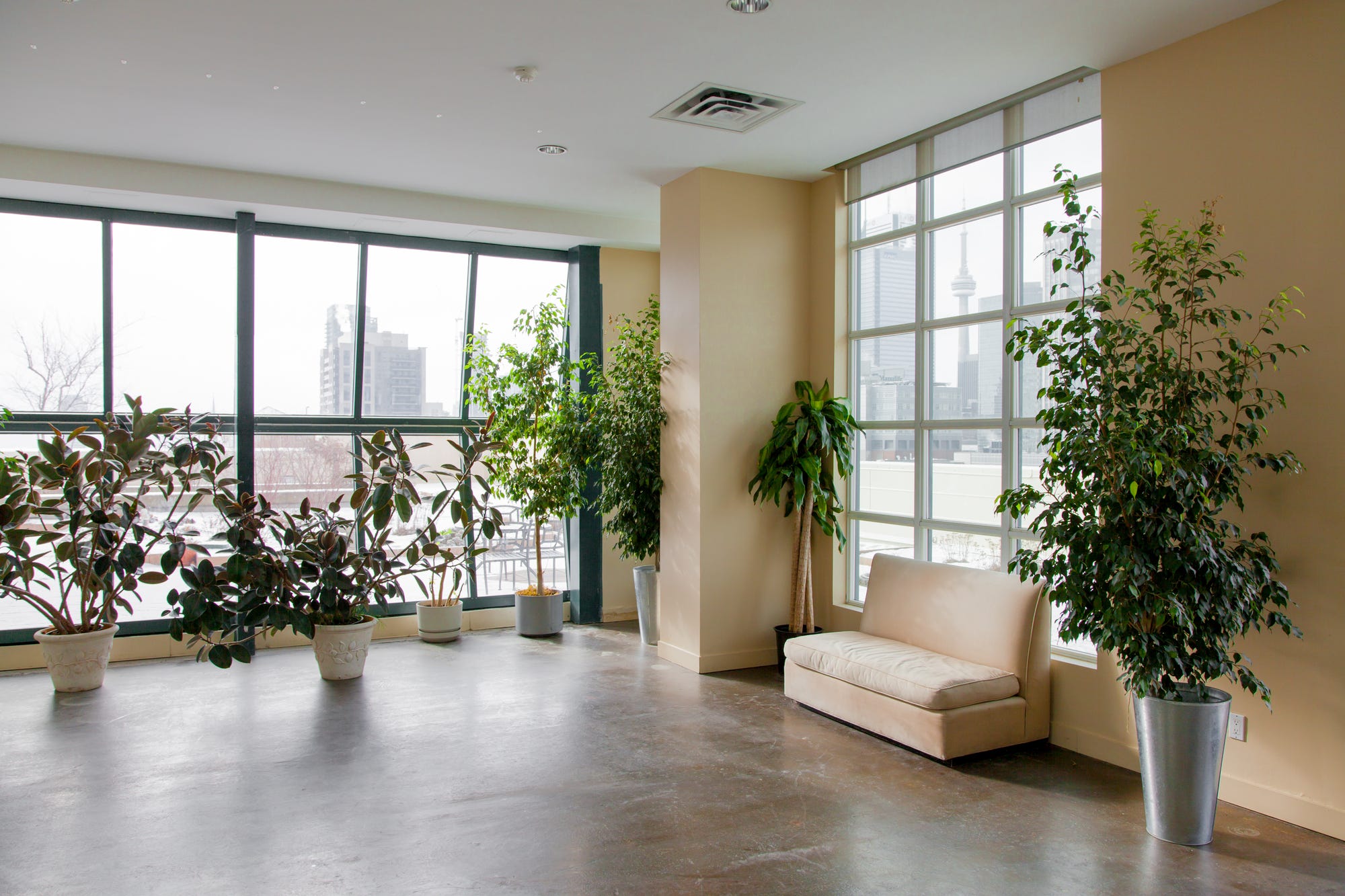 Creating a motivating environment at home and work: strategies for peak ...