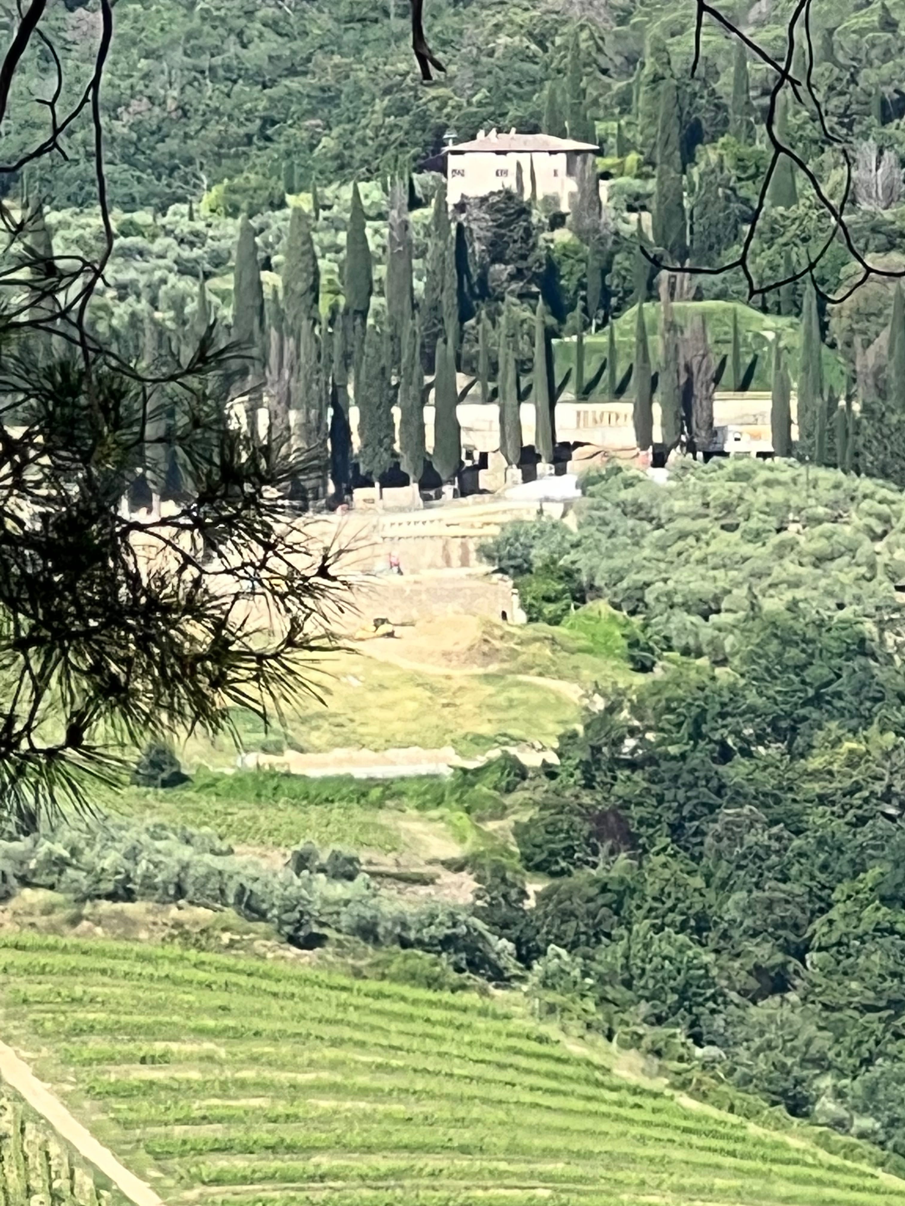 Mimi & Jacques’ Bon Voyage - by Jacques Natz